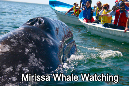 Serendib Island – The Paradise of Adventures